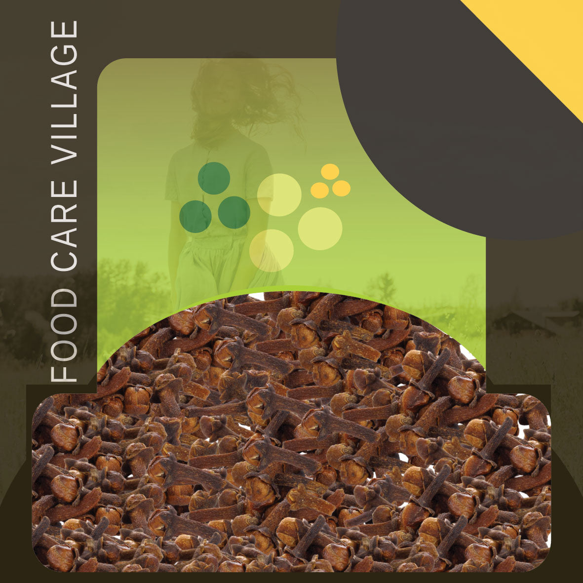Clove -Selected – Food Care INDIA