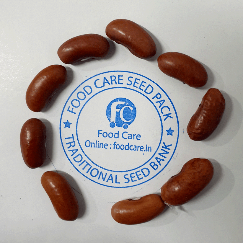 Bean seeds Pack - Free – Food Care INDIA