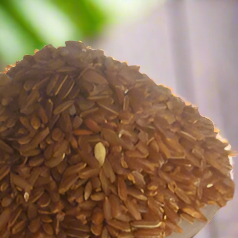 Raktashali Rice – Food Care INDIA