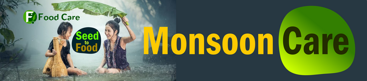 Nalpamaram Organic Handmade Origin Soap 75g – Food Care INDIA