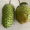 Soursop ,Mullu Seetha Pazham, Mullatha , Mullu Chakka, Hanuman Phal, L ...