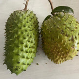 Soursop ,Mullu Seetha Pazham, Mullatha , Mullu Chakka, Hanuman Phal, L ...