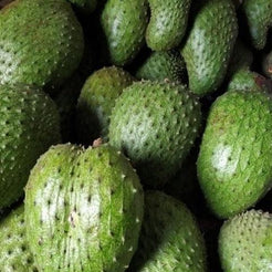 Soursop ,Mullu Seetha Pazham, Mullatha , Mullu Chakka, Hanuman Phal, L ...