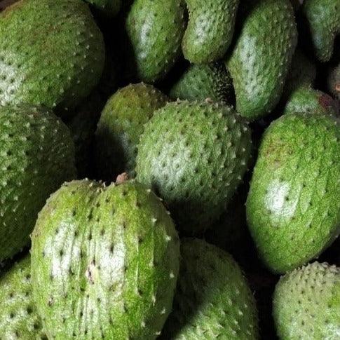 Soursop ,Mullu Seetha Pazham, Mullatha , Mullu Chakka, Hanuman Phal, L ...
